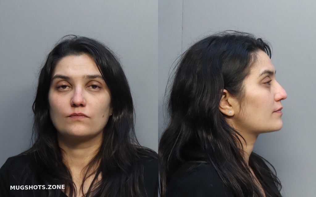 KHERFAN SOLANGEL 11/17/2022 - Miami-Dade County Mugshots Zone