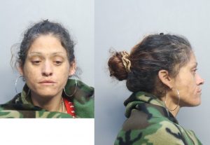 LOPEZ ROSLYN 11/18/2022 - Miami-Dade County Mugshots Zone