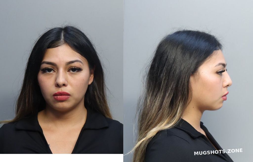 PICHARDO KELLY 11/18/2022 - Miami-Dade County Mugshots Zone