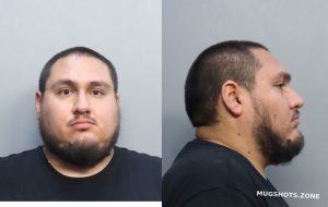 PERDOMO CHRISTIAN 11/19/2022 - Miami-Dade County Mugshots Zone