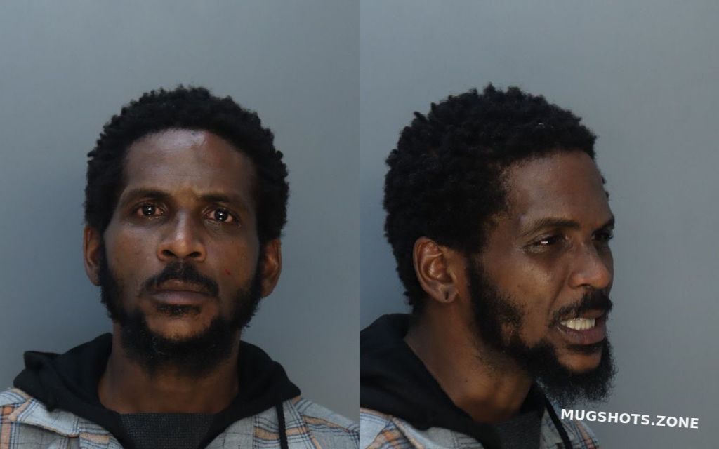 WILLIAMS CHAKA AZURI 11/23/2022 - Miami-Dade County Mugshots Zone