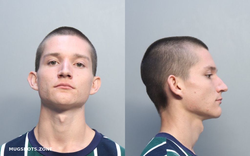 WILD SKYLER LOGAN 11/24/2022 - Miami-Dade County Mugshots Zone