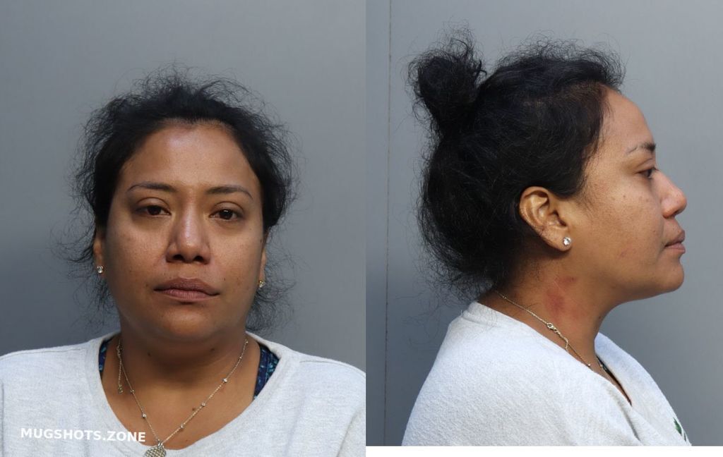 CASTILLO ELIZABETH 11/28/2022 - Miami-Dade County Mugshots Zone