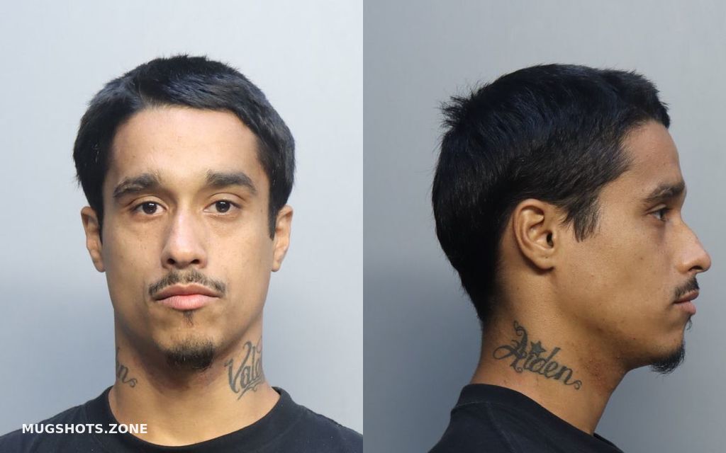 CARBALLEA JOSE MIGUEL 11/28/2022 - Miami-Dade County Mugshots Zone