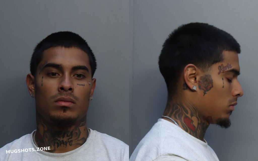 SABALLOS JEREMY RENE 11/28/2022 - Miami-Dade County Mugshots Zone
