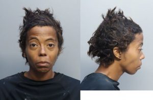 COLLINS LEXUS DEONTE 11/28/2022 - Miami-Dade County Mugshots Zone