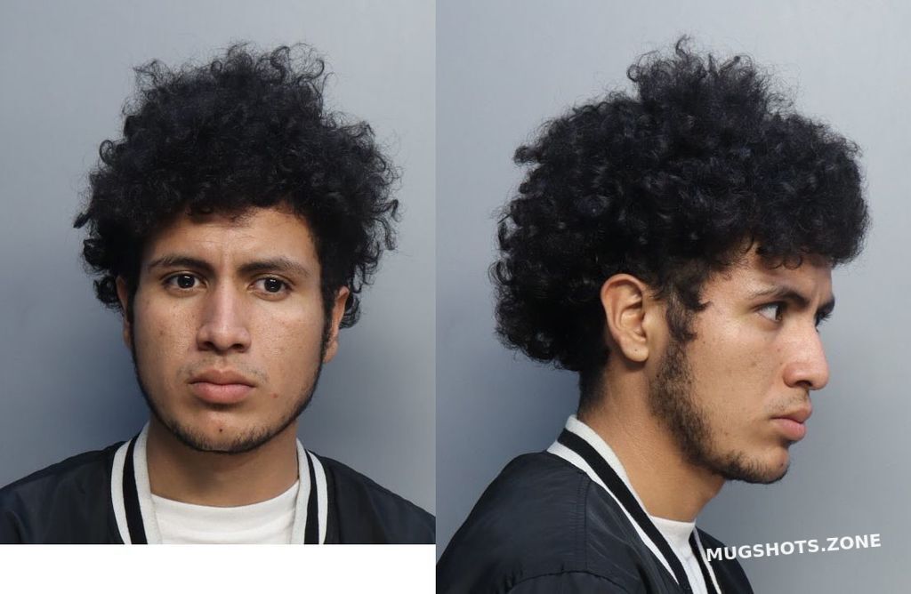 HERNANDEZVALLE LUIS FERNANDO 12/09/2022 - Miami-Dade County Mugshots Zone