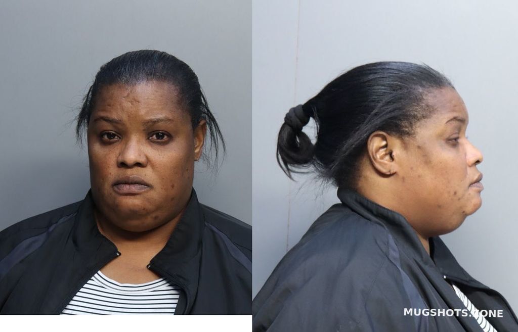 DATIS ACELIE 12/24/2022 - Miami-Dade County Mugshots Zone