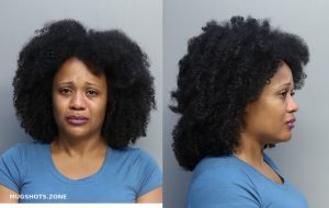 RICHARDSON ROBIN RENEE 01/06/2023 - Miami-Dade County Mugshots Zone