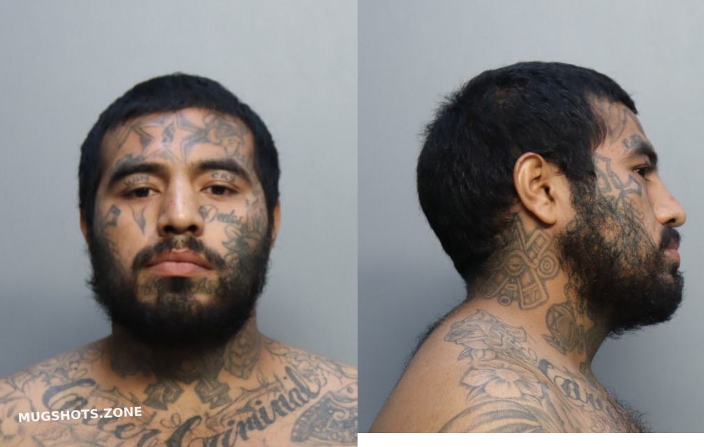 REYNA ESTEBAN OLVERA 01/09/2023 - Miami-Dade County Mugshots Zone