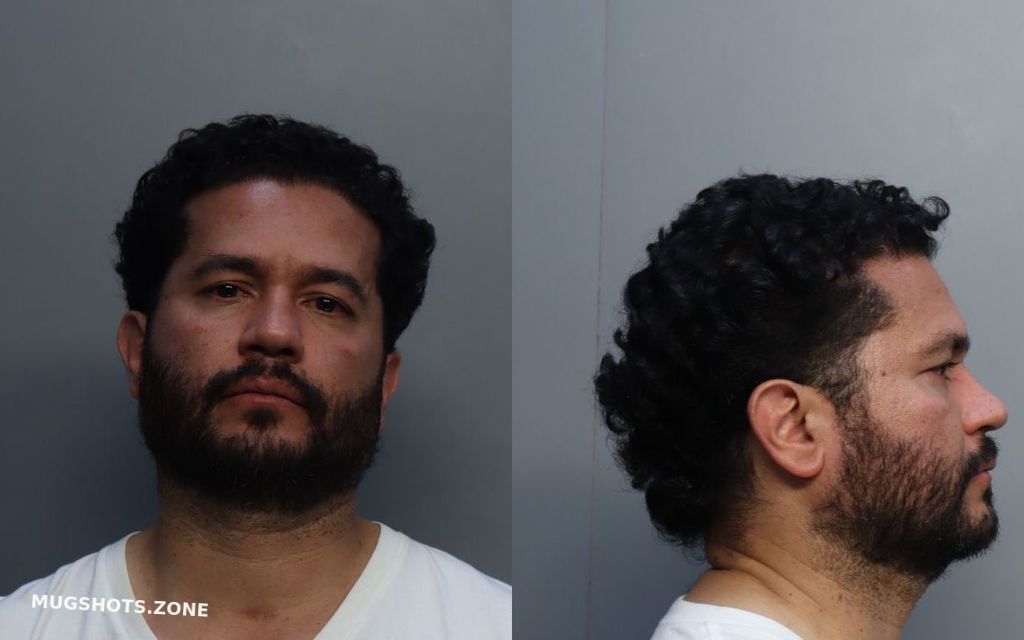SARMIENTO DAVIS ALEXANDER 01/14/2023 - Miami-Dade County Mugshots Zone