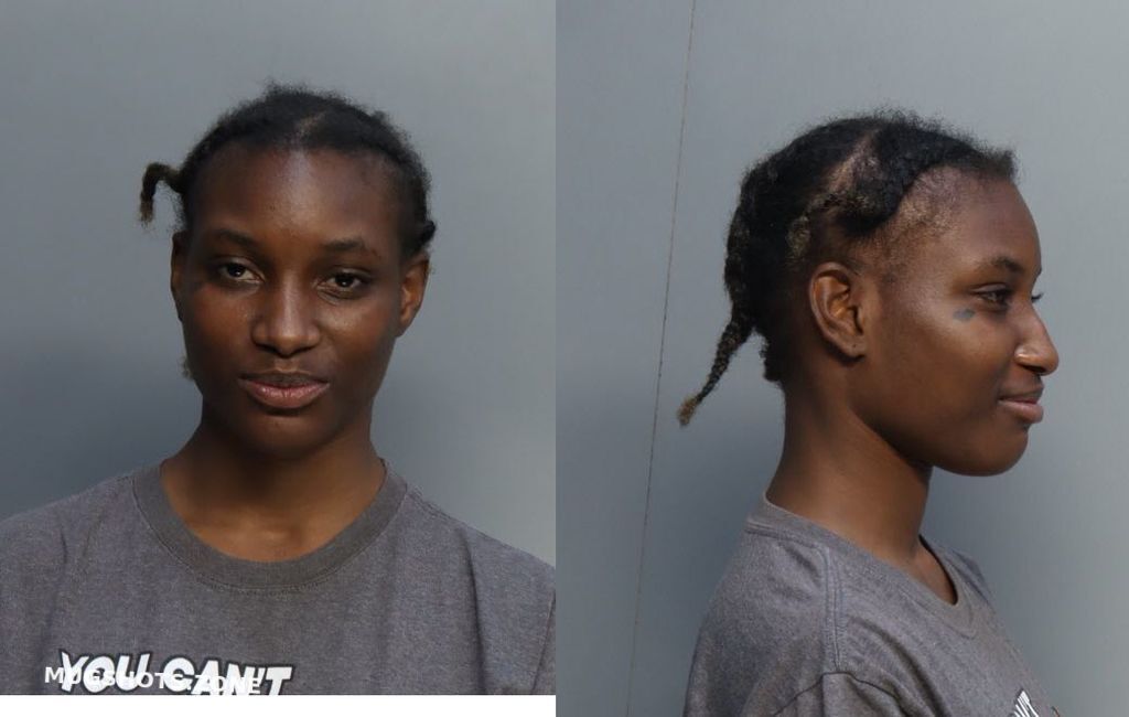 JOHNSON TIFFANY 01/27/2023 - Miami-Dade County Mugshots Zone