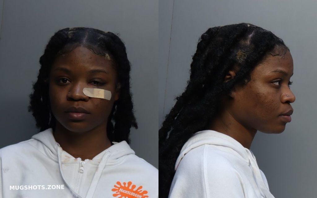 RICHARDSON TIERRA SKY 01/27/2023 - Miami-Dade County Mugshots Zone