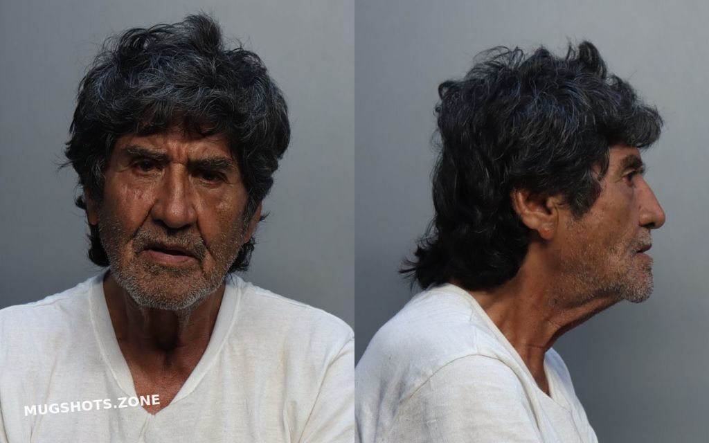 MATA WILSON 02/01/2023 - Miami-Dade County Mugshots Zone