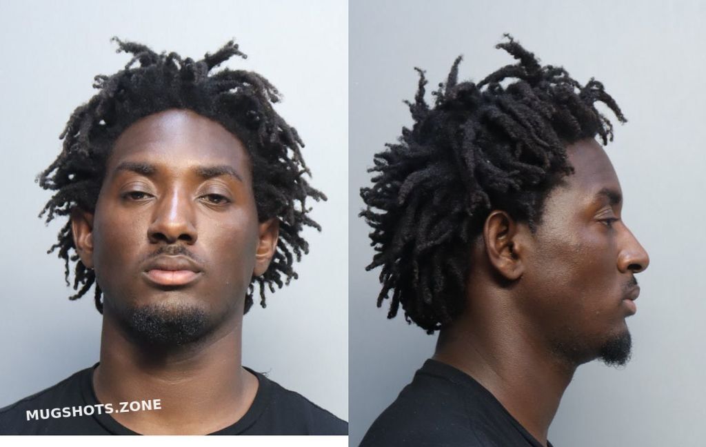 WILLIAMS LEO ADOLPHUS 02/04/2023 - Miami-Dade County Mugshots Zone