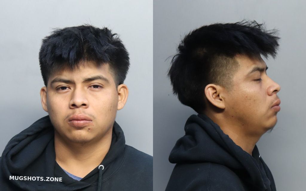 ANDRESMEJIA ERWIN GILBERTO 02/12/2023 - Miami-Dade County Mugshots Zone