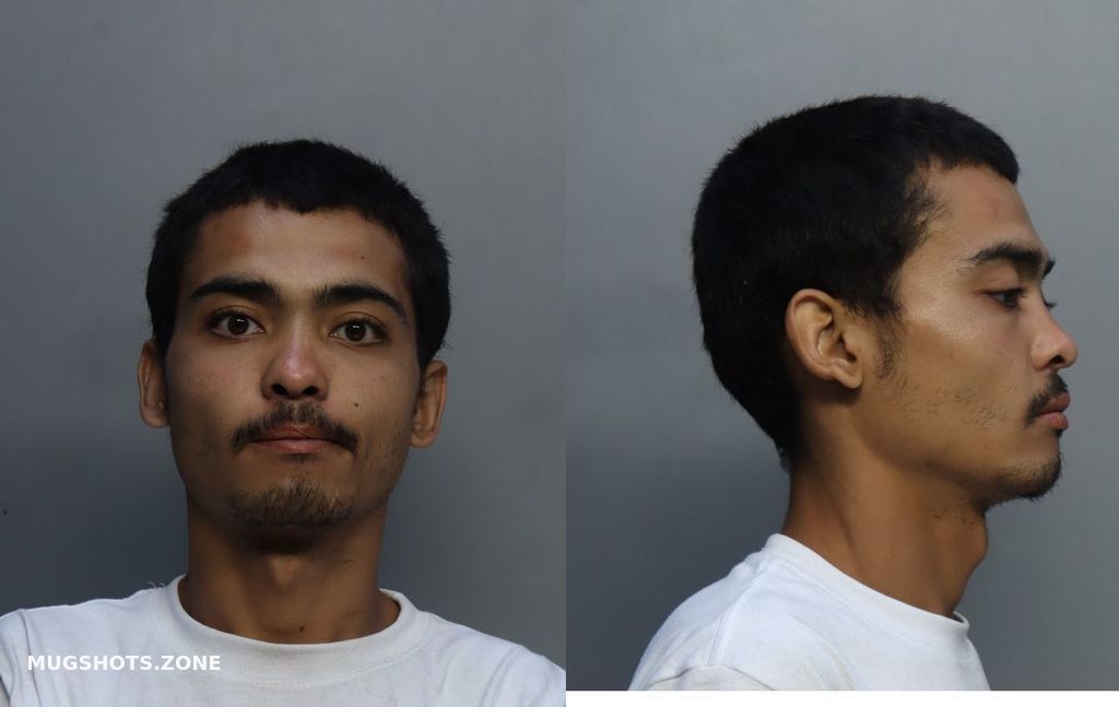ROLDAN JUNIOR 02/12/2023 - Miami-Dade County Mugshots Zone ROLDAN JUNIOR 02/12/2023 - Miami-Dade County Mugshots Zone