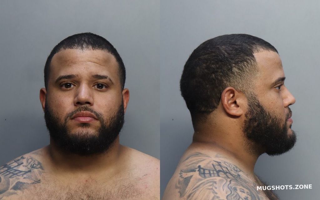 ROSARIO CHRISTOPHER ALAN 02/13/2023 - Miami-Dade County Mugshots Zone