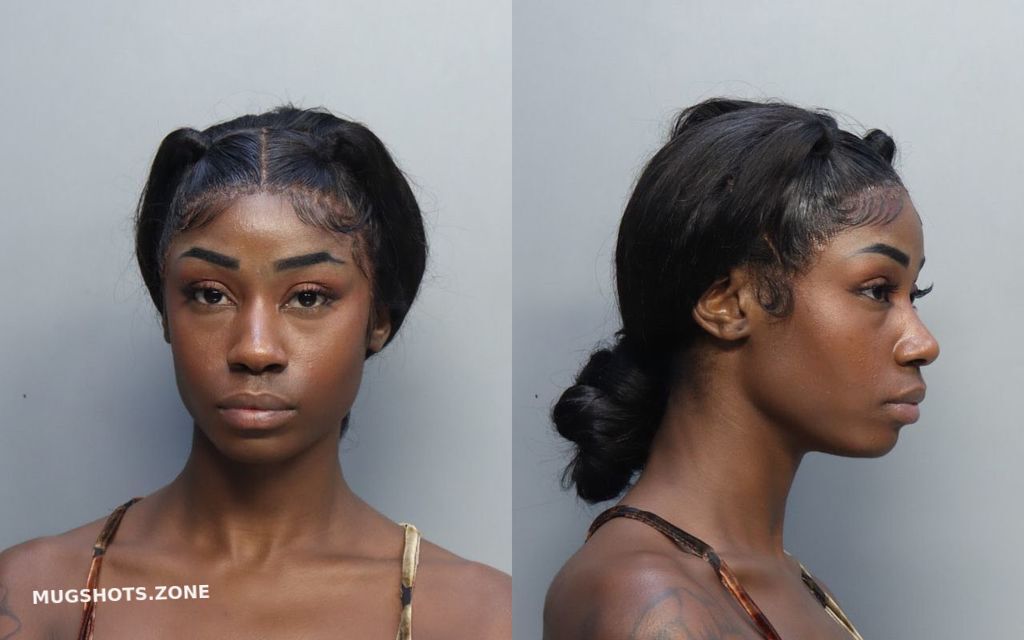 NORMAN VERNISHA DANIELLE 02/15/2023 - Miami-Dade County Mugshots Zone NORMAN VERNISHA DANIELLE 02/15/2023 - Miami-Dade County Mugshots Zone