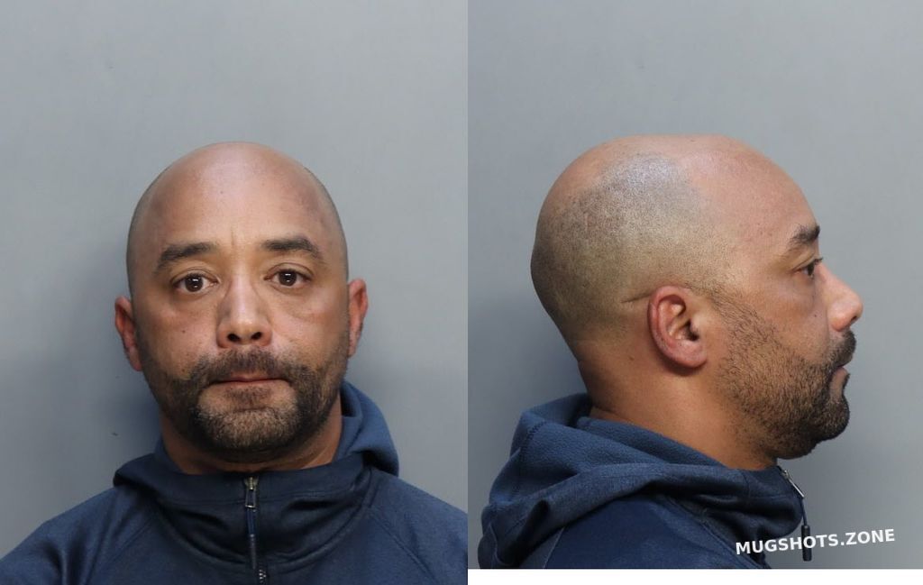 VERTELO ALISSON MOREIRA 02/22/2023 - Miami-Dade County Mugshots Zone