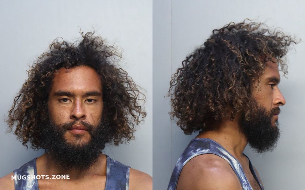INNIS EDWIN ISMAEL 02/26/2023 - Miami-Dade County Mugshots Zone