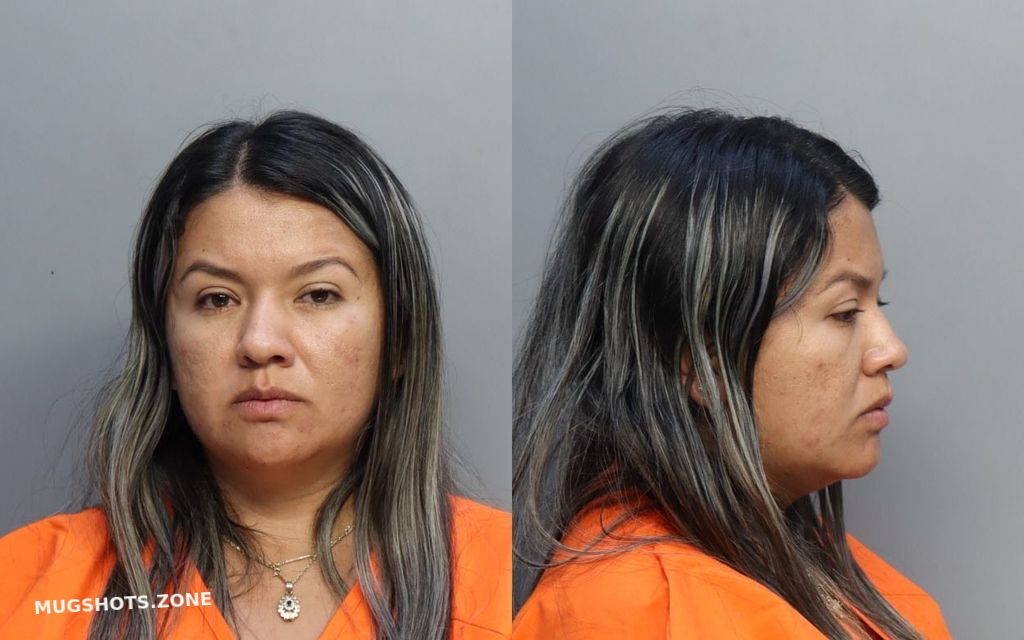 REYES CLAUDIA SAREY 03/04/2023 - Miami-Dade County Mugshots Zone