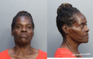 COLEMAN LYNETTE ELIZABETH 03/05/2023 - Miami-Dade County Mugshots Zone
