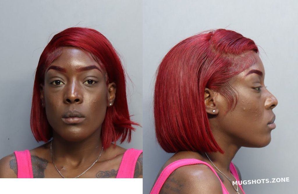 CALIX ANSECA 03/11/2023 - Miami-Dade County Mugshots Zone