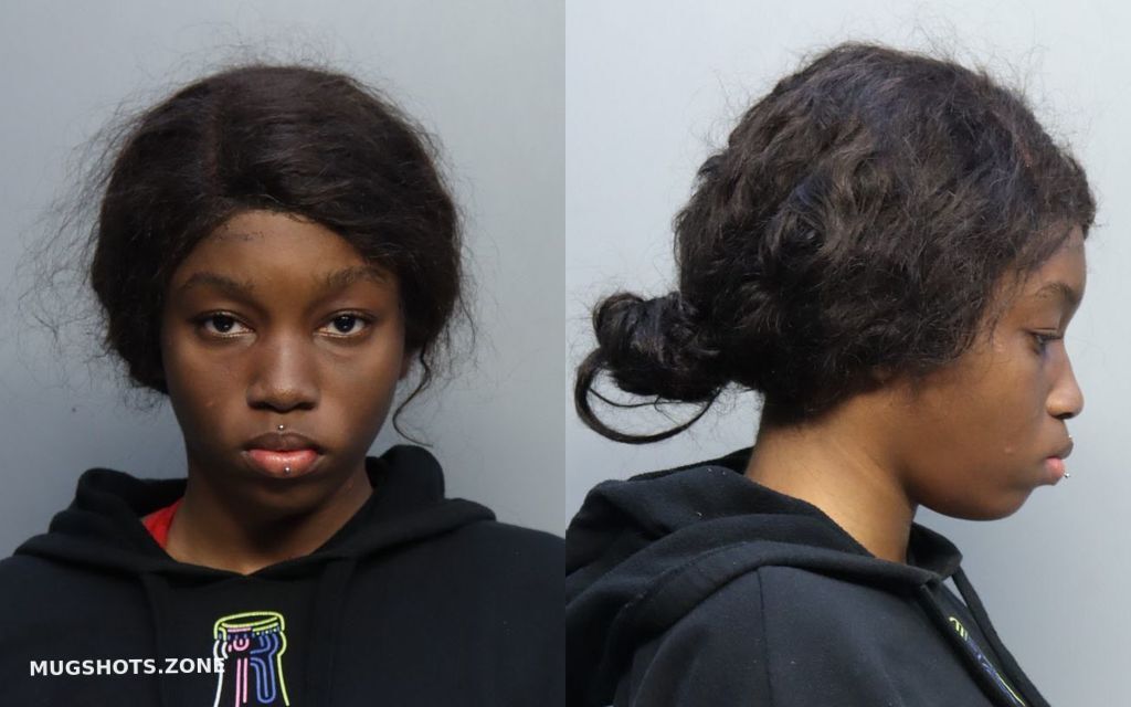 ANDRE TANISHA 03/13/2023 - Miami-Dade County Mugshots Zone