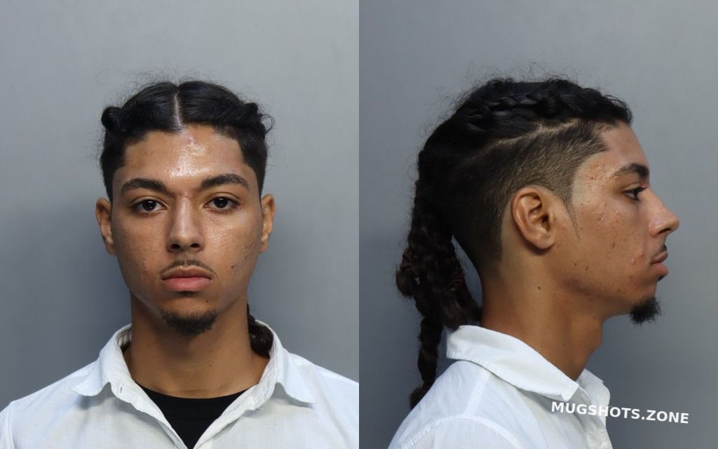 ARSLANIAN MICHAEL 03/13/2023 - Miami-Dade County Mugshots Zone