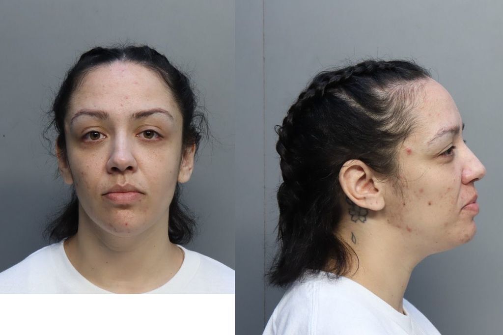 TERRAS YAREMIS INES 03/14/2023 - Miami-Dade County Mugshots Zone