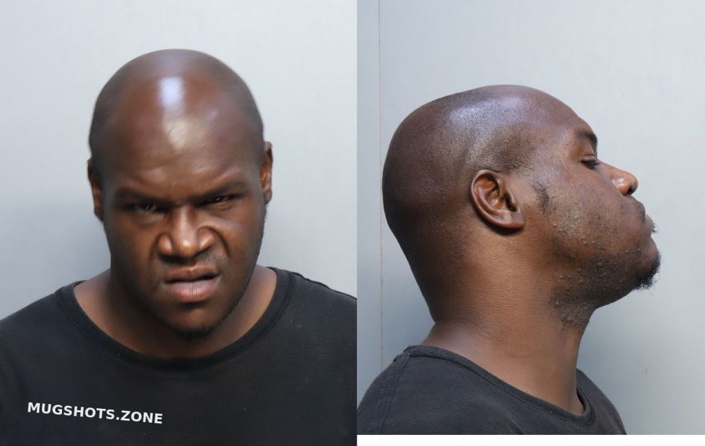 KNOWLES GEORGE THEO 03/14/2023 - Miami-Dade County Mugshots Zone