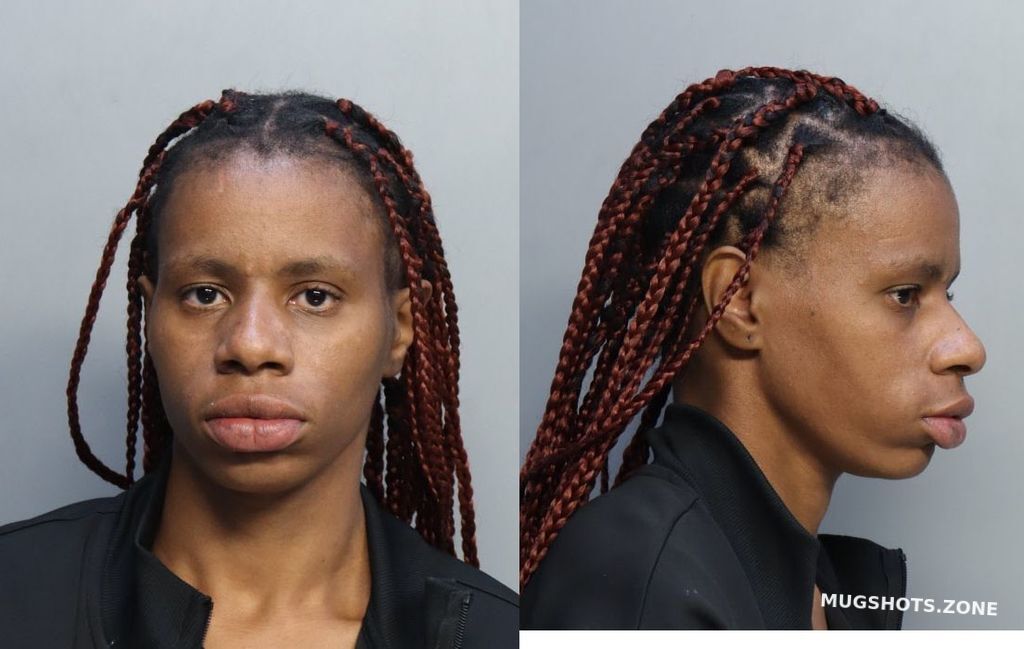 JOHNSON DASIA NYSHAY 03/16/2023 - Miami-Dade County Mugshots Zone