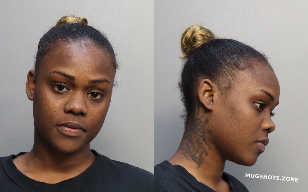 MARTIN ZAHRA AISHASHANI 03/16/2023 - Miami-Dade County Mugshots Zone