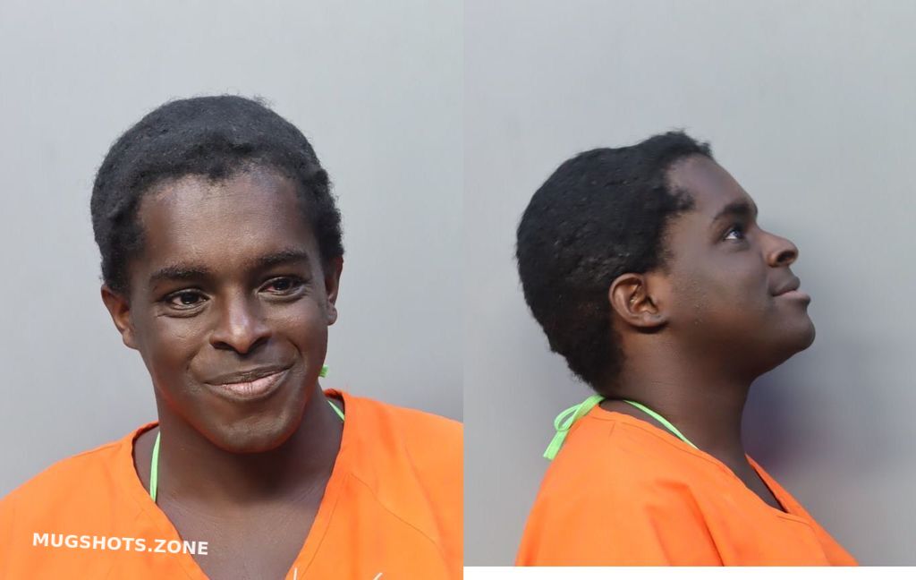 BROWN JORDAN 03/17/2023 - Miami-Dade County Mugshots Zone