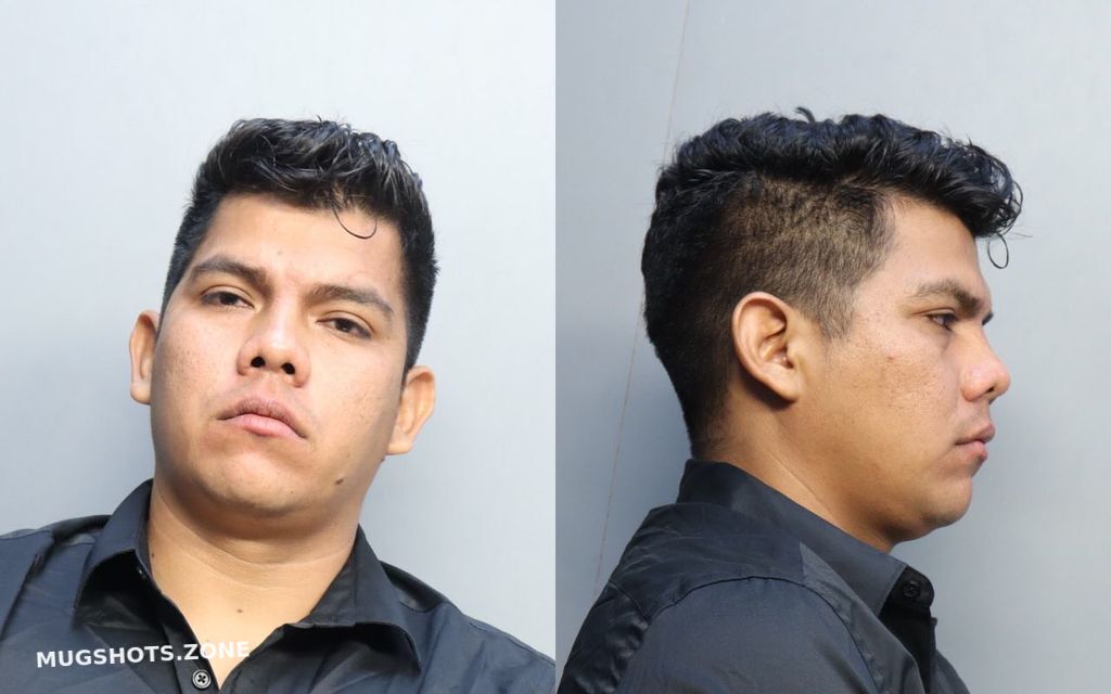 GONZALEZ-ARAUZ MAYNOR ASUNCION 03/19/2023 - Miami-Dade County Mugshots Zone