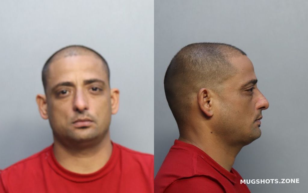 HERNANADEZ DINAY LAGE 03/24/2023 - Miami-Dade County Mugshots Zone