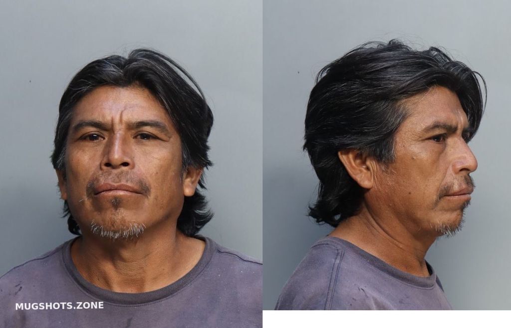 ANDRES JULIO DIEGO 03/27/2023 - Miami-Dade County Mugshots Zone