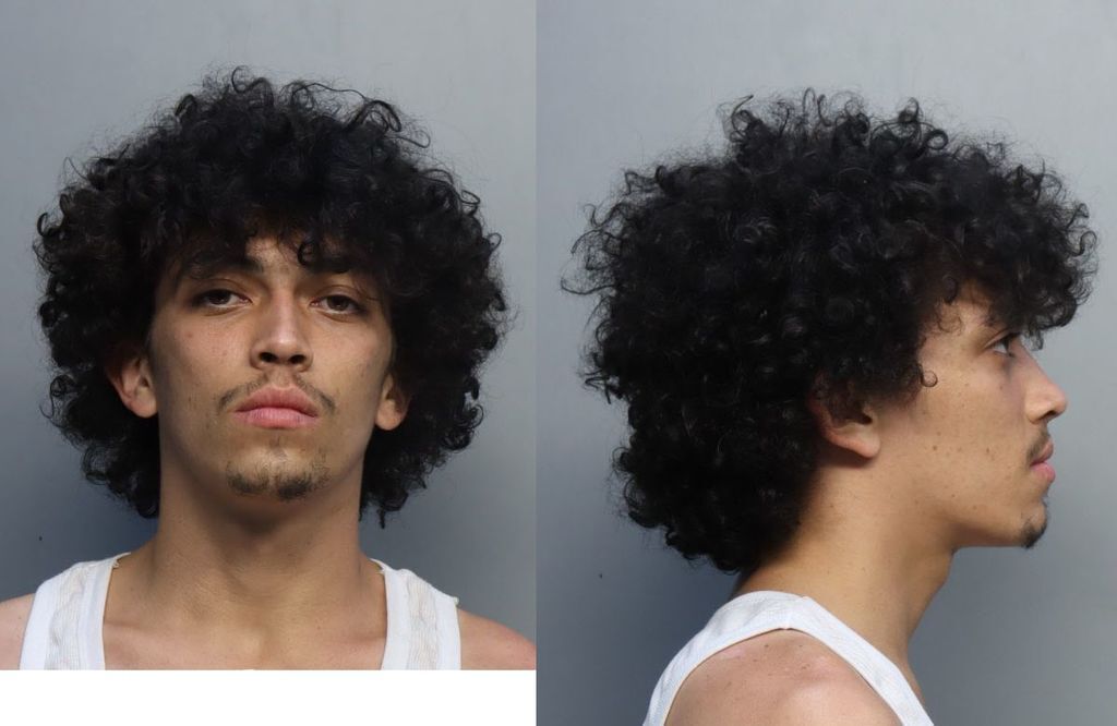 TREJO ANDREW LEE 04/02/2023 - Miami-Dade County Mugshots Zone