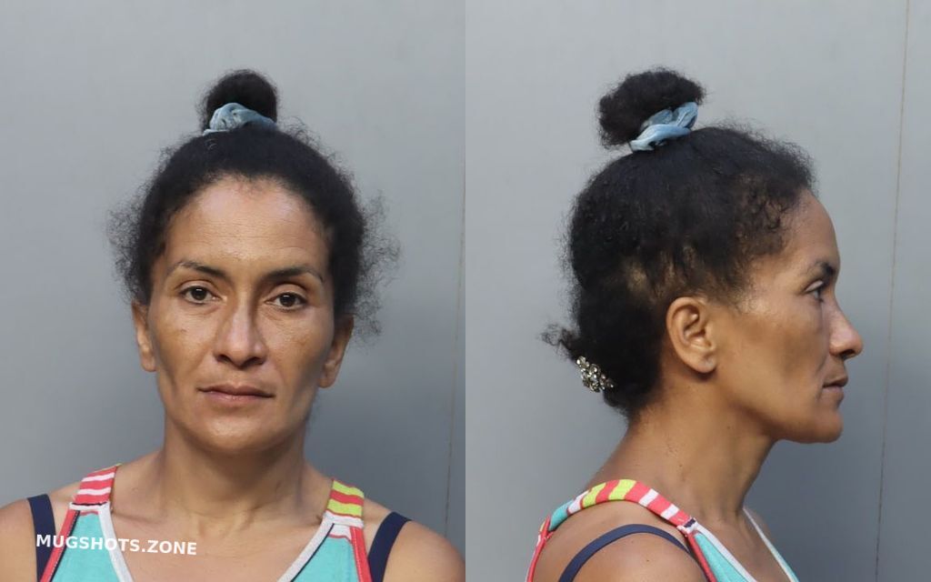 CASTILLO HAIMARA LOPEZ 04/04/2023 - Miami-Dade County Mugshots Zone