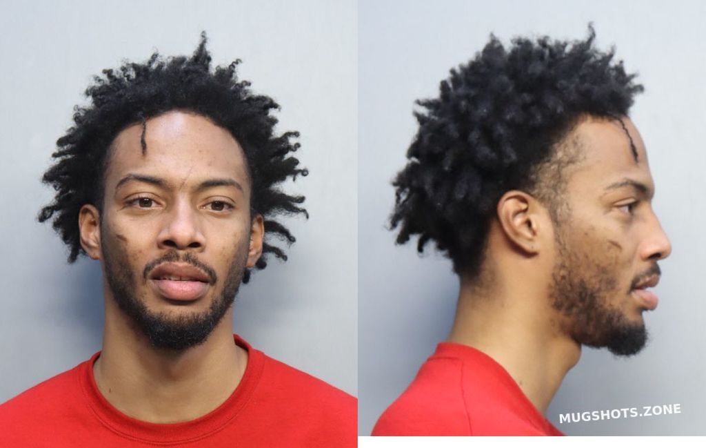 ROBINSONSTREETS DYLAN 04/04/2023 - Miami-Dade County Mugshots Zone