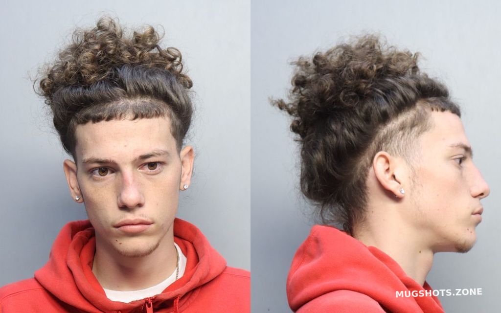 LOPEZ DAVIAN GABRIEL 04/05/2023 - Miami-Dade County Mugshots Zone