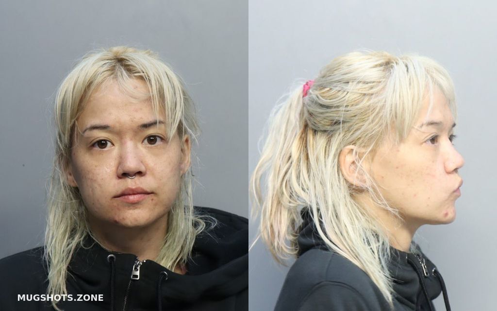 WILLIAMS DEBORAH 04/10/2023 - Miami-Dade County Mugshots Zone