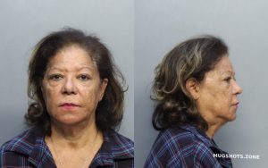 ROBLES FRANCES EMMA 04/11/2023 - Miami-Dade County Mugshots Zone