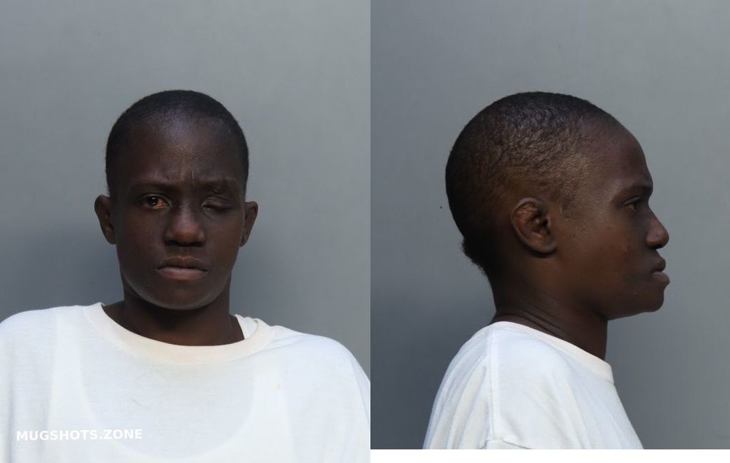 Davis Kassandra 04122023 Miami Dade County Mugshots Zone
