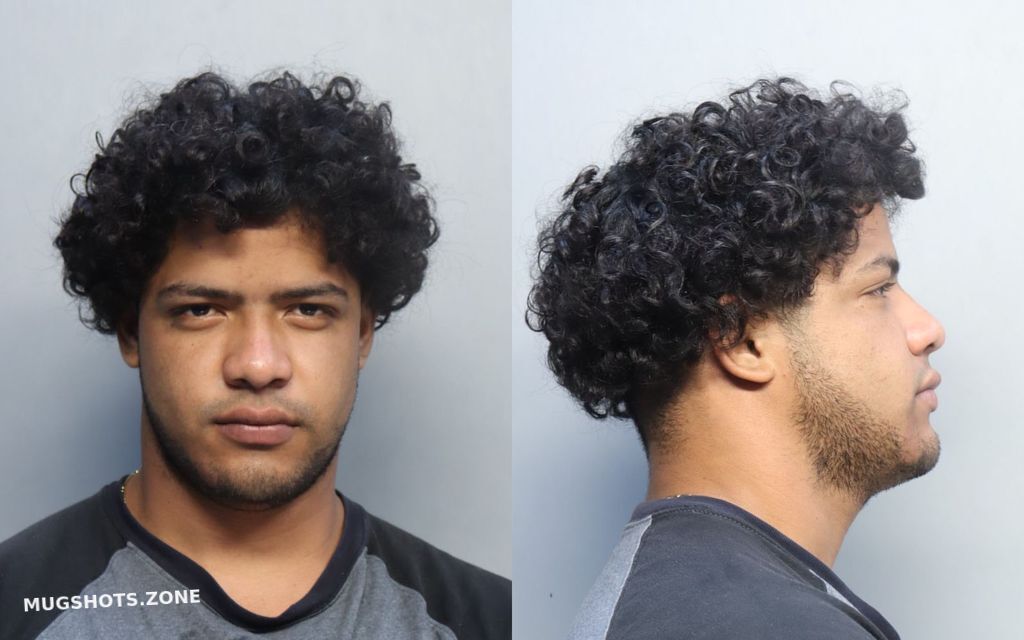 WILLIAM DANNY 04/15/2023 - Miami-Dade County Mugshots Zone