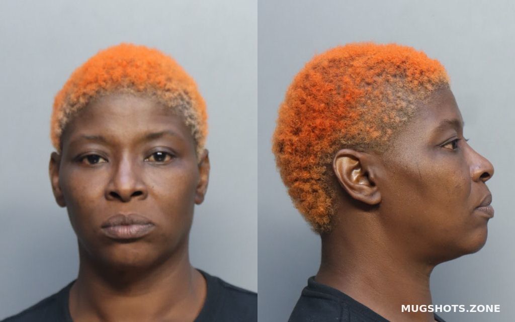 JACKSON LESLEY ANN 04/15/2023 - Miami-Dade County Mugshots Zone