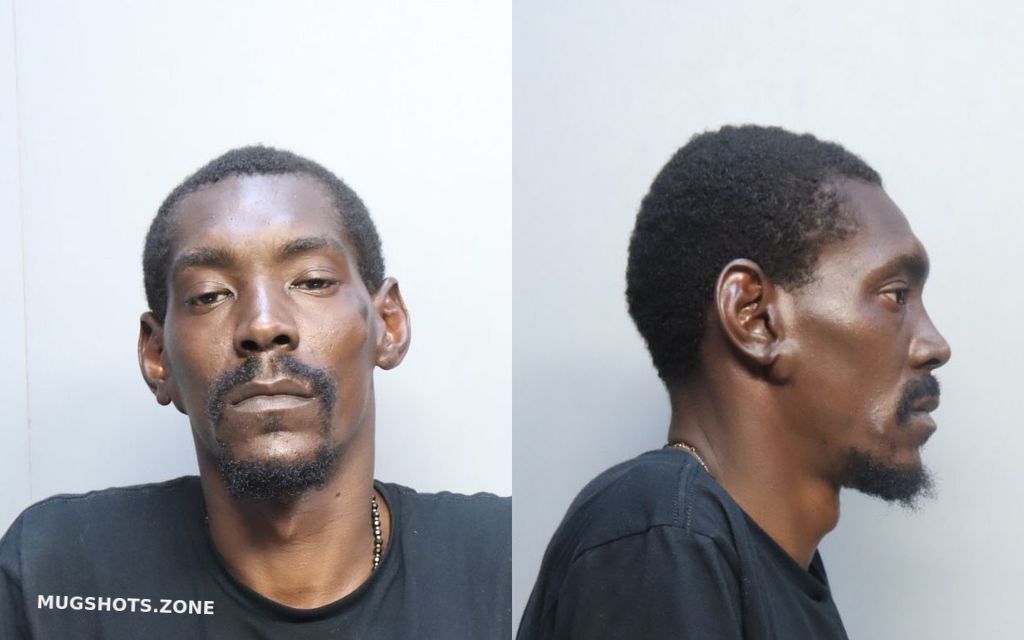 DAVIS MARRIESE ALEXANDER 04/16/2023 - Miami-Dade County Mugshots Zone