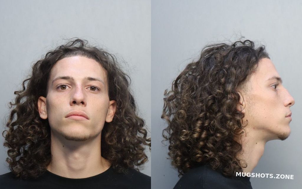LOPEZ DAVIAN GABRIEL 04/24/2023 - Miami-Dade County Mugshots Zone