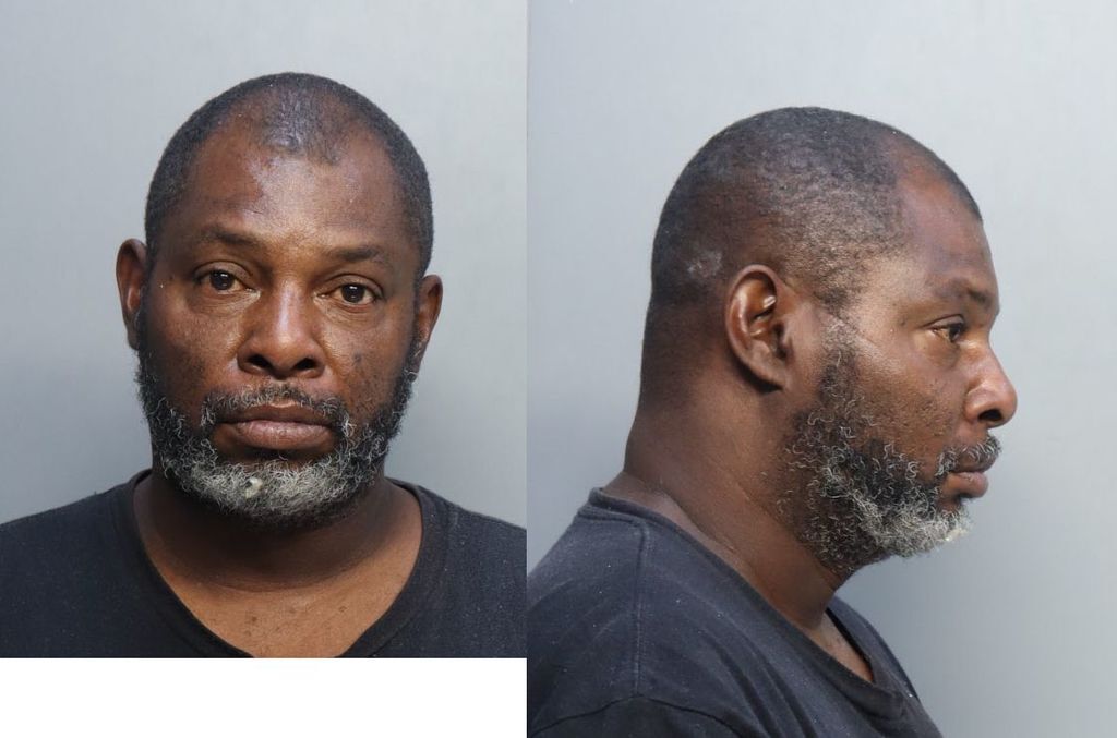 WILSON STACEY O 04/28/2023 - Miami-Dade County Mugshots Zone